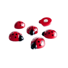 Koop leuke magneten voor magneetbord bij MagneetjesWinkel.nl